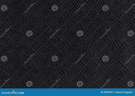 Texture Of A Snakeskin Stock Image Image Of Serpent 28599551