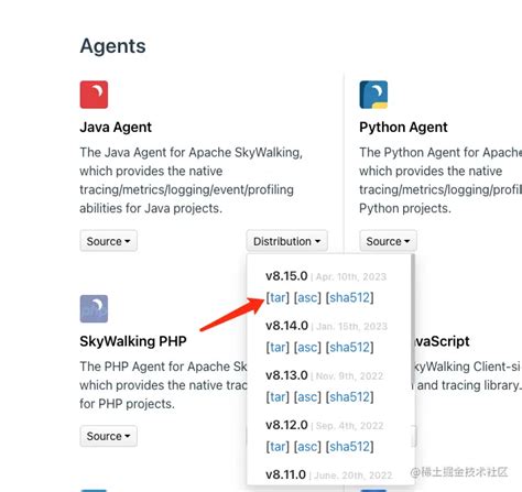 skywalking 9 x入门 一 安装skywalking及监控 springboot 服务背景 本次我们的目的就 掘金