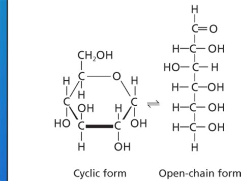 Carbohydrates Page 1 Carbohydrates
