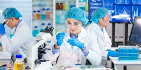 Maintaining Data Integrity Types And Database Guide Pinnaql