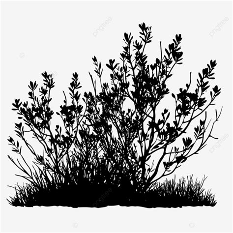 Flat Bush Bush Silhouette Bush Flat Bush Bush Silhouette Png