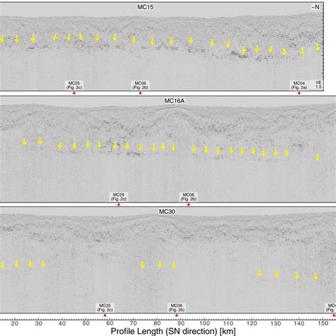 Pre Stack Depth Migrated Sections Of Seismic Strike Lines Yellow Arrows