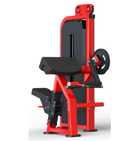 Bicep Curl Machine Model Name Number Gd 202 At ₹ 80999 Piece In New