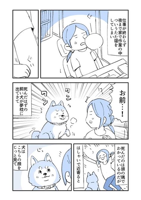 「死んだ犬が会いにきてくれたかもしれない話 人から聞いた不思議な話を漫画にしてみた 」みつつぐの漫画