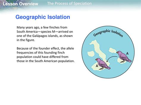17 3 The Process Of Speciation Ppt Download