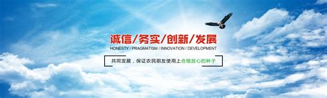 玉米种子萌发过程是怎样的？高产抗旱玉米种子商家为你讲解！ 铁岭市剑宁种子有限公司 玉米种子 剑宁种子