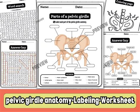Anatomy Label Book Human Anatomy Illustrations Workbook 100 Full