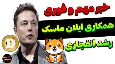 خبر مهم و فوری همکاری ایلان ماسک و رشد انفجاری بیبی دوج و دوج کوین