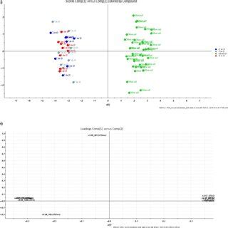 PLSDA A Scores Plot And B Loading Plot Of Pure Olive Oil And Olive Download Scientific