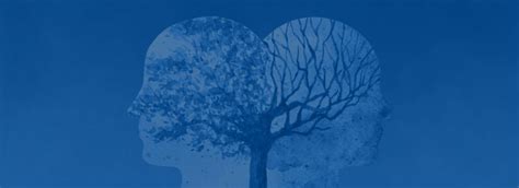 About Bipolar Disorder Breakthrough Discoveries Bd²