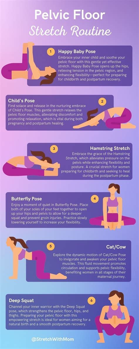 Stretch And Your Pelvic Floor — Stretch Long Island In 2025 Pelvic