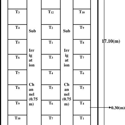 61 Layout Of Experimental Field With Randomization Download