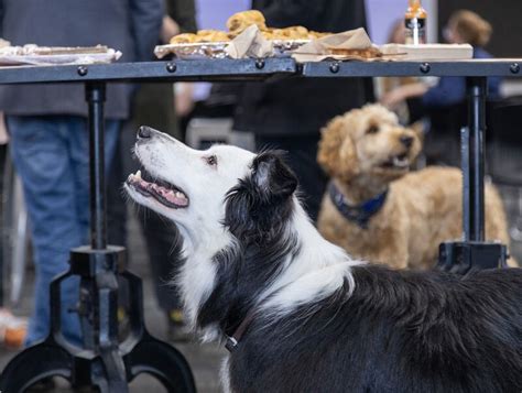 Dev Academy Aotearoa On Linkedin Devacademyaotearoa