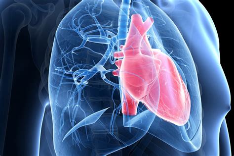 Pulmonary Hypertension Integrity Pulmonary