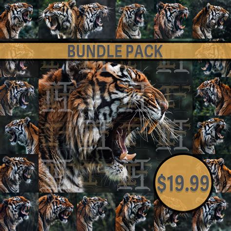 Tiger Roar Profile Project Roar Tiger Conservation