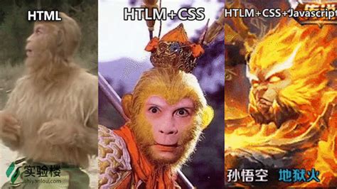 盘点2018程序员才懂的100个段子搞笑图（上篇） 知乎