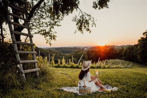 피크닉에서 와인 잔과 함께 태양이 내려가면서 휴식을 취하는 젊은 여성 와인에 대한 스톡 사진 및 기타 이미지 와인 사람들 전채 요리 Istock