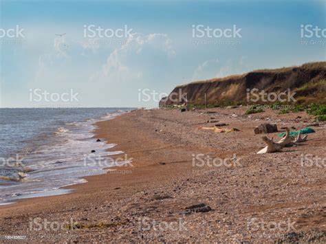 플라스틱 폐기물은 해변에 흩어져 있습니다 사람들이없는 폐기물로 가득 찬 더러운 해변 풍경 0명에 대한 스톡 사진 및 기타 이미지 Istock