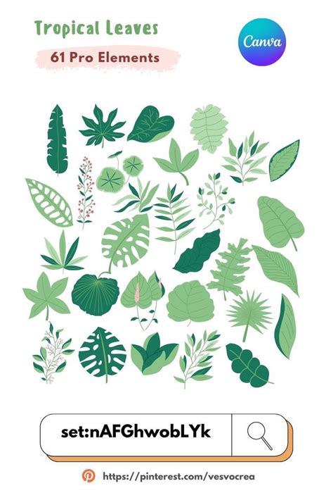 Hand Drawn Green Tropical Leaves Symbol Object Canva Elements Keyword