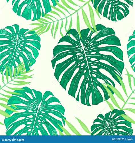 Monstera Leaves Seamless Pattern Vector Tropical Botanical
