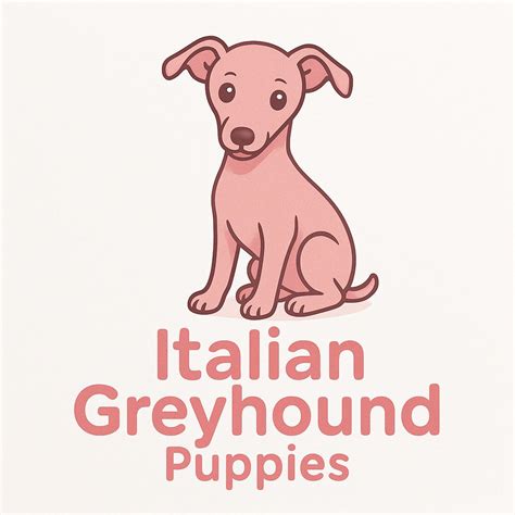 Home Italian Greyhound Puppies