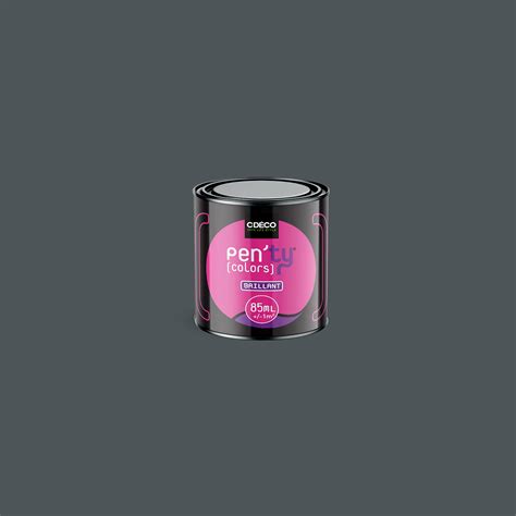 Peinture Penty Gris Acier Brillant Cdeco