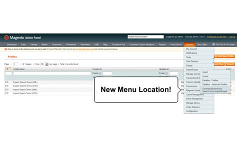 Import Export Search Terms Magento Extension