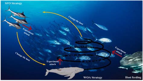 Mathematics Free Full Text Modified Remora Optimization Algorithm With Multistrategies For