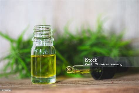Cbd 대마 오일 유리 병의 대마 오일 추출물 의료 용 마리화나 개념 0명에 대한 스톡 사진 및 기타 이미지 0명 Thc 개념 Istock