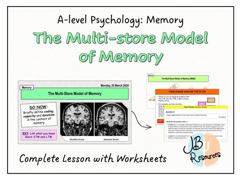 A Level Psychology The Multi Store Model Of Memory Memory Topic