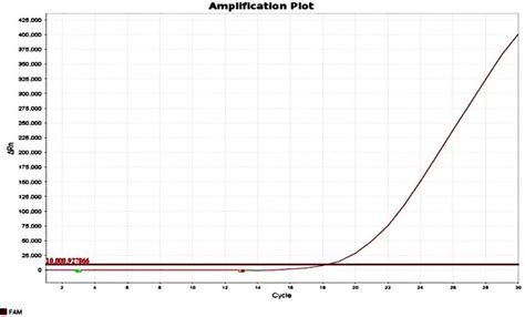 Detection Of Gene Mutations Braf V600e Showed That The Tumor Was Mutant Download Scientific