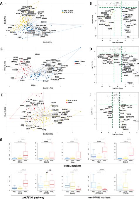 Transcriptomic Expression Analysis Of Diffuse Large B Cell Lymphoma A