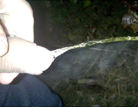 Romanian Pissing Thisvid Com