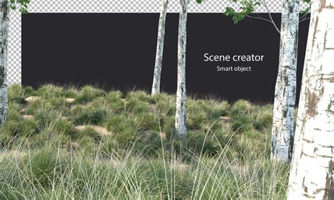 Premium Psd Way Path Through Trees And Grass Field Way Path Through Grass Field And Tree