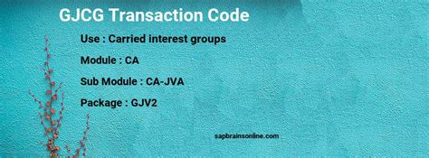 GJCG SAP Tcode For Carried Interest Groups