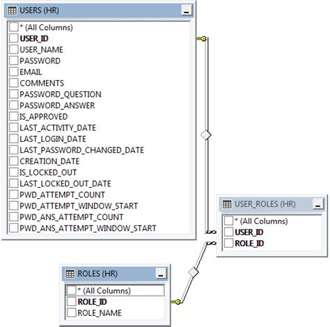 Code On Time Security Membership And Role Providers Oracle Advanced