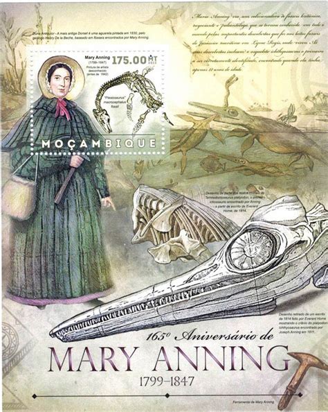 Mary Anning And Her Legacy In Paleontology