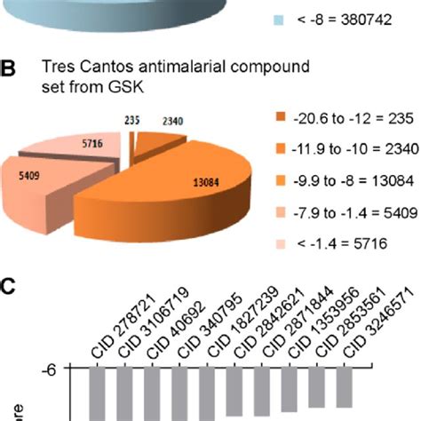 High Throughput In Silico Virtual Screening For The Identification Of