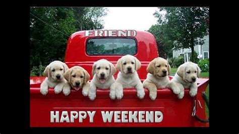 Float 11 Shallow Youtube