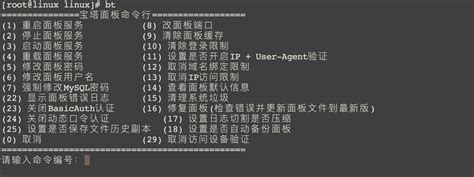 排查宝塔面板无法访问登录 支持与服务 阿里云