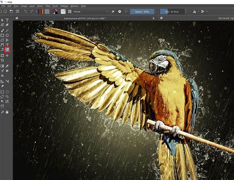 Krita Drawing Software