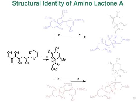 Ppt Structural Elucidation And Total Synthesis Powerpoint Presentation Id3397934