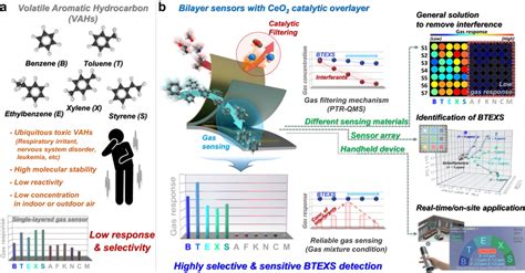 Concept Of This Study A Obstacles For Detecting Volatile Aromatic