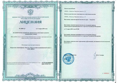 Лицензия образец документа