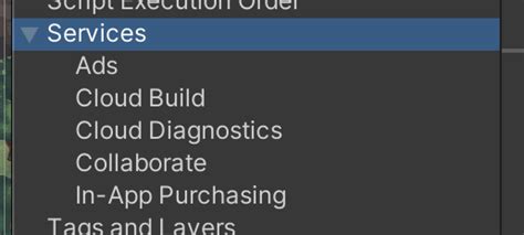 Cant Find Authentication Under Project Settings Unity Services