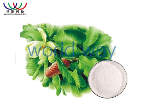 Natural Magnolia Officinalis Bark Extract Pure Honokiol Extract For Cosmetics