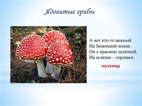 Съедобные и несъедобные грибы для дошкольников презентация онлайн
