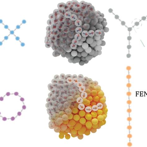 Equilibrium Clusters Formed By X Y Chain And Ring Like Ssmps