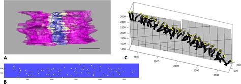 Mathematical Modeling Of Et Derived 3d Model Refuses Multilayered