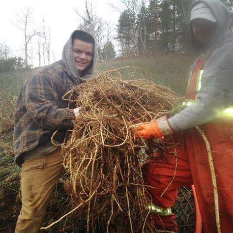 Root Control Dougness Holdings